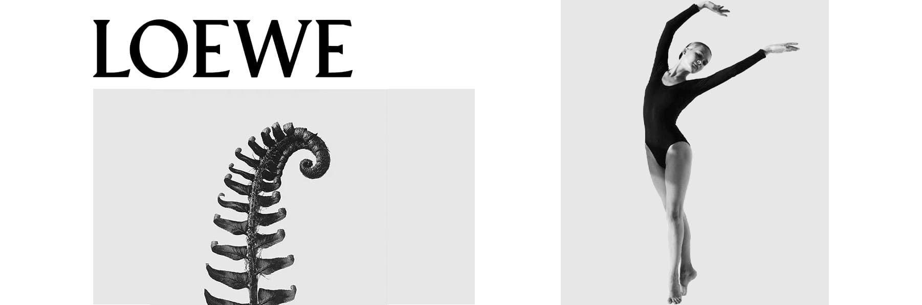 La marca Loewe【Historia de la marca Loewe】WeLoveBrands : Agencia de ...